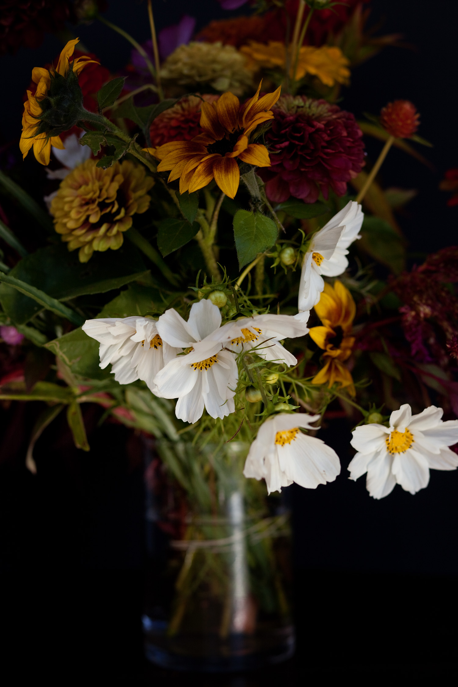 Gardening School : Review - The Freshman Gardener